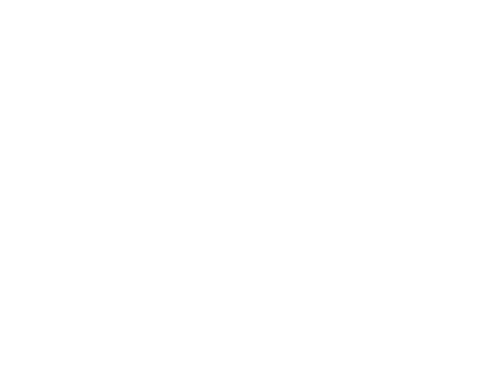 Pazzo Veloce | A Rally Like No Other